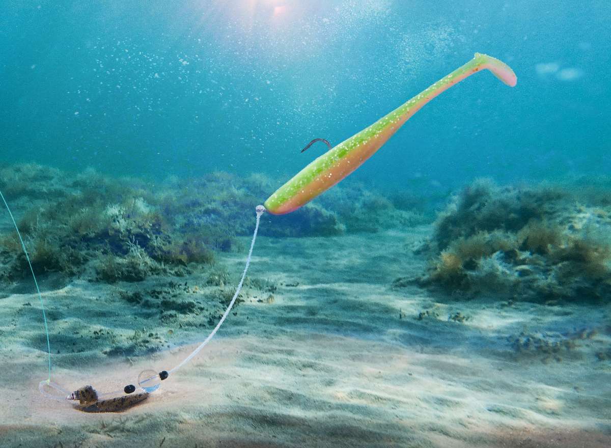 Balzer Shirasu Street Zander Barsch Walker Rig System 1/0 10g 15g 20g ...